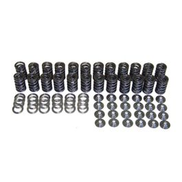 034Motorsport - Valve Spring Set, 24V VR6 w/ R